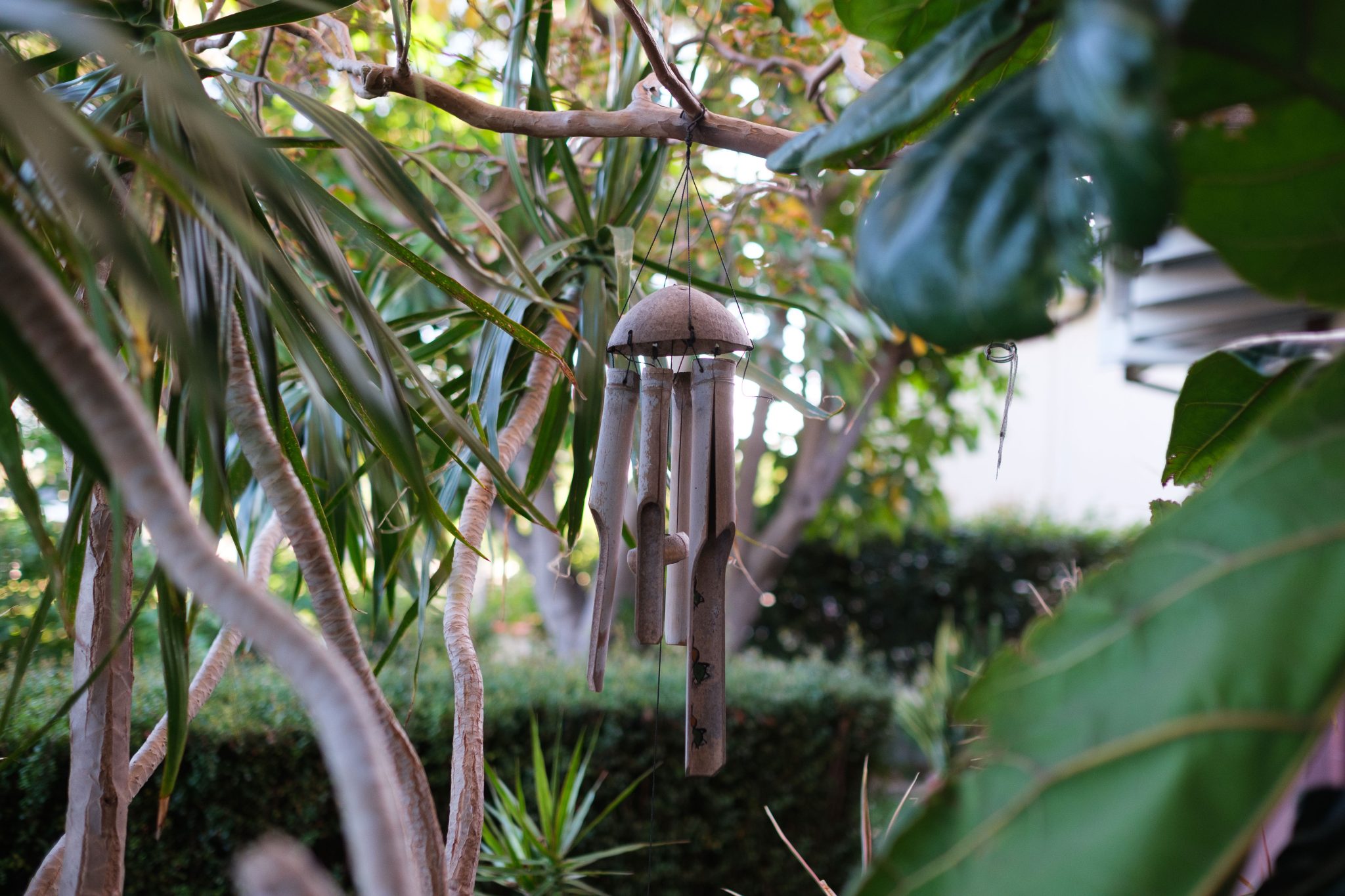 Peter and Peta – Plunkett Homes