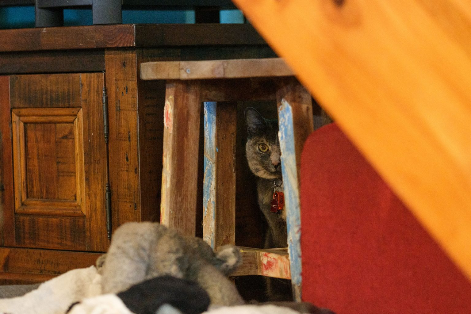 Peter and Peta – Plunkett Homes